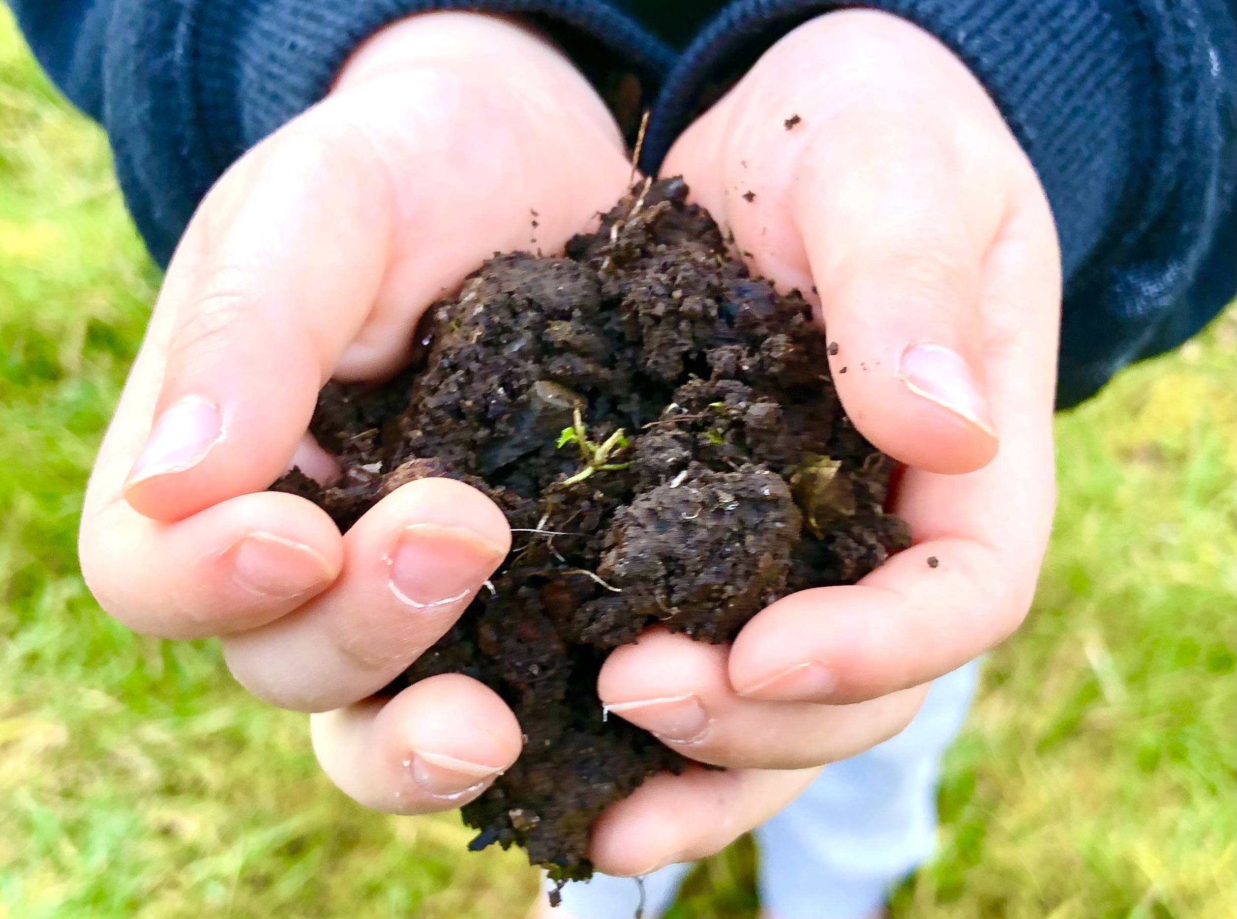 Soil - A Sensory Experience. Music & Visual Art Workshop | What's On ...